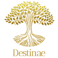 Destinae | Myrthe Kelder